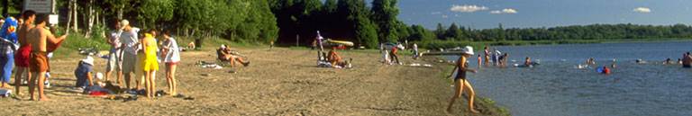 Beach sampling results in Ontario Parks