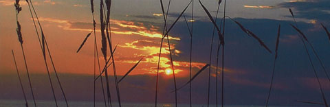 Welcome to Point Farms Provincial Park