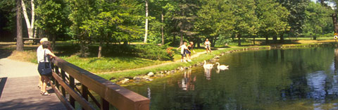 Welcome to Springwater Provincial Park