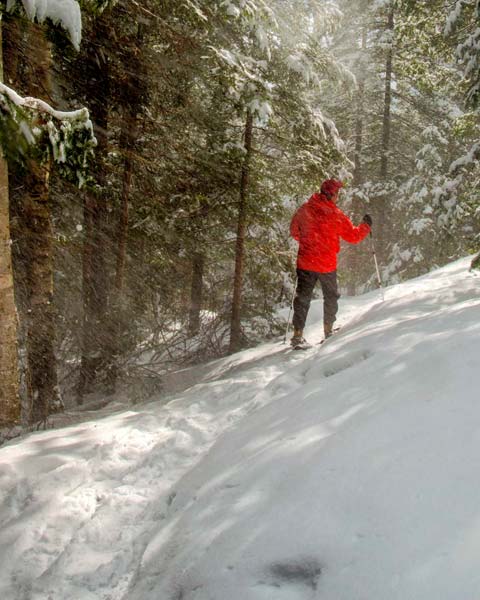 Welcome to Windy Lake Provincial Park