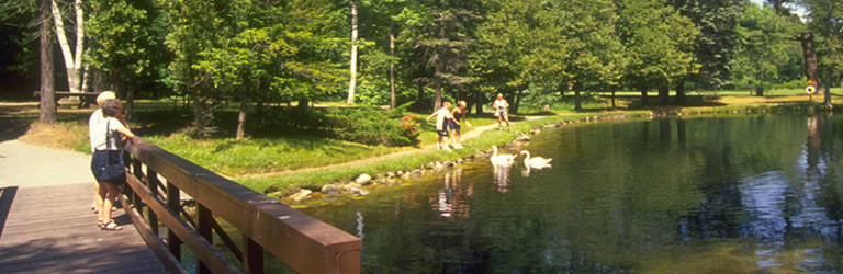 Welcome to Springwater Provincial Park